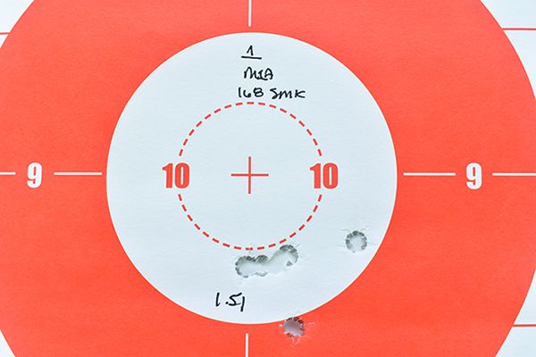 Springfield M1A 308 Winchester - Gun Tests