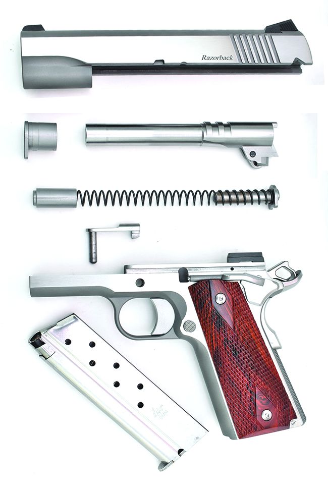 Dan Wesson Razorback 10mm Auto - Gun Tests