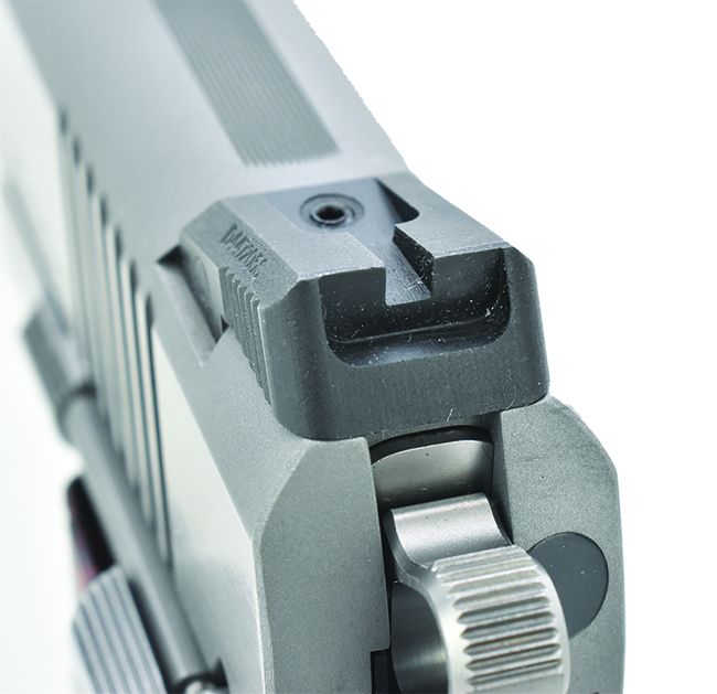 Dan Wesson Razorback 10mm Auto - Gun Tests