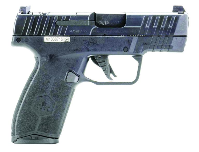 Top 10 Subcompact 9mm Pistols for 2025 - Gun Tests