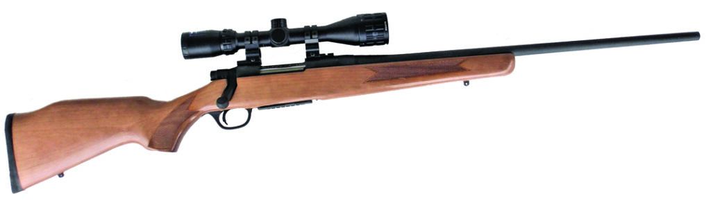 Top 10 308 Winchester Bolt-Action Rifles for 2025 - Gun Tests