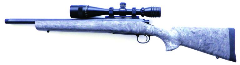 Top 10 308 Winchester Bolt-Action Rifles for 2025 - Gun Tests