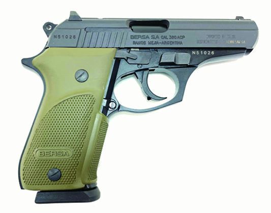 10 Top 380 ACP Pistols 2025 - Gun Tests