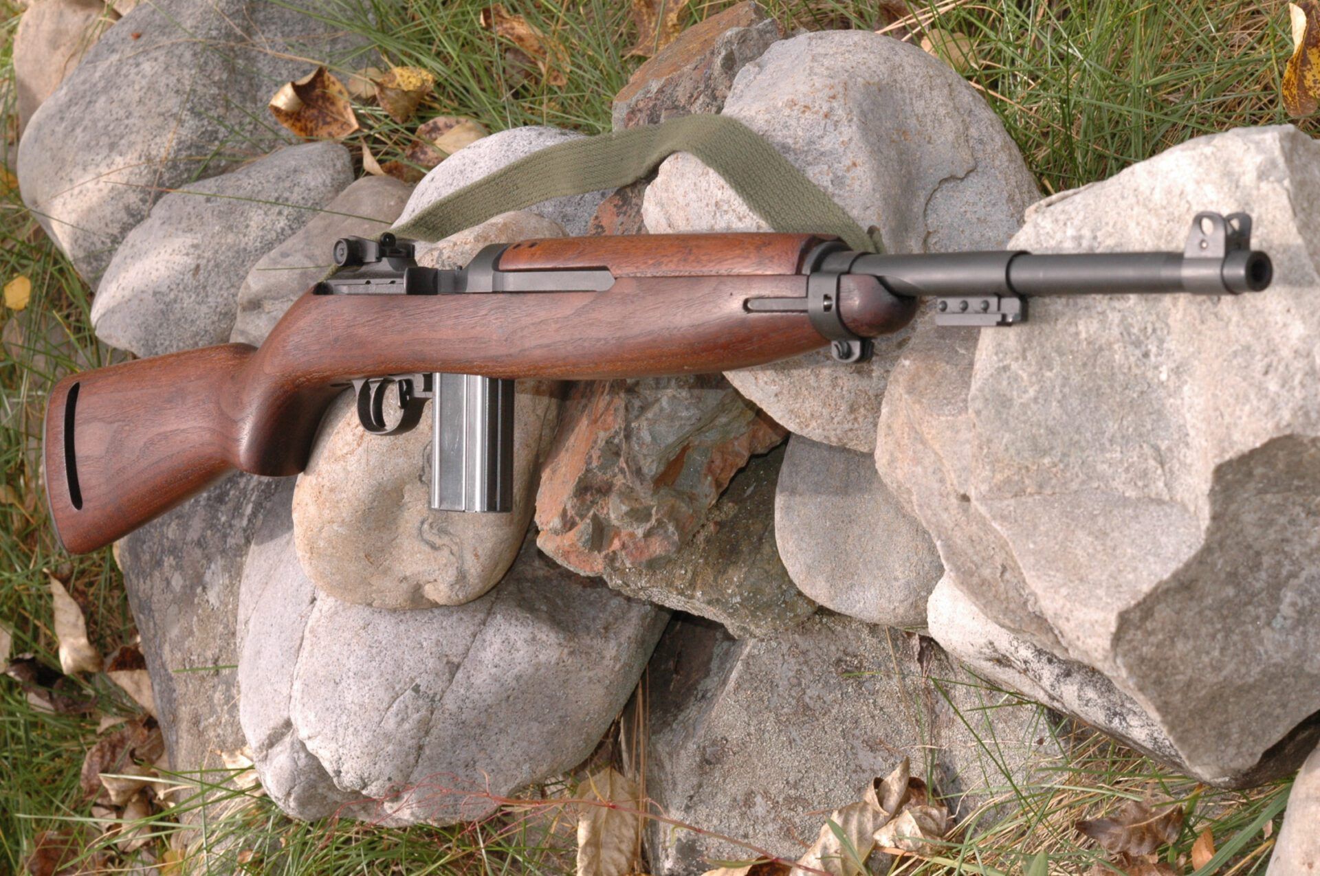 Top 10 Pistol-Caliber Carbines for 2025 - Gun Tests