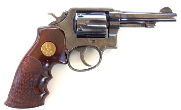 Top 10 38 Special Revolvers for 2025 - Gun Tests